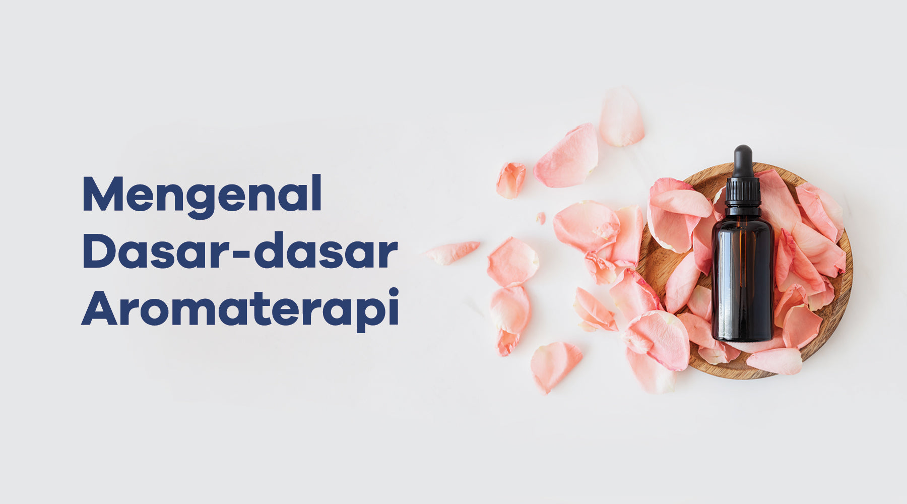 Aromaterapi 101: Apa itu Aromaterapi? Amankah untuk anak? – Peek.Me ...